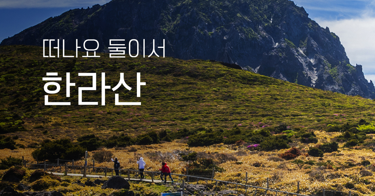 나랑 같이 ‘한라산’ 놀러 갈래? 함께 걷고 싶다면 클릭!
